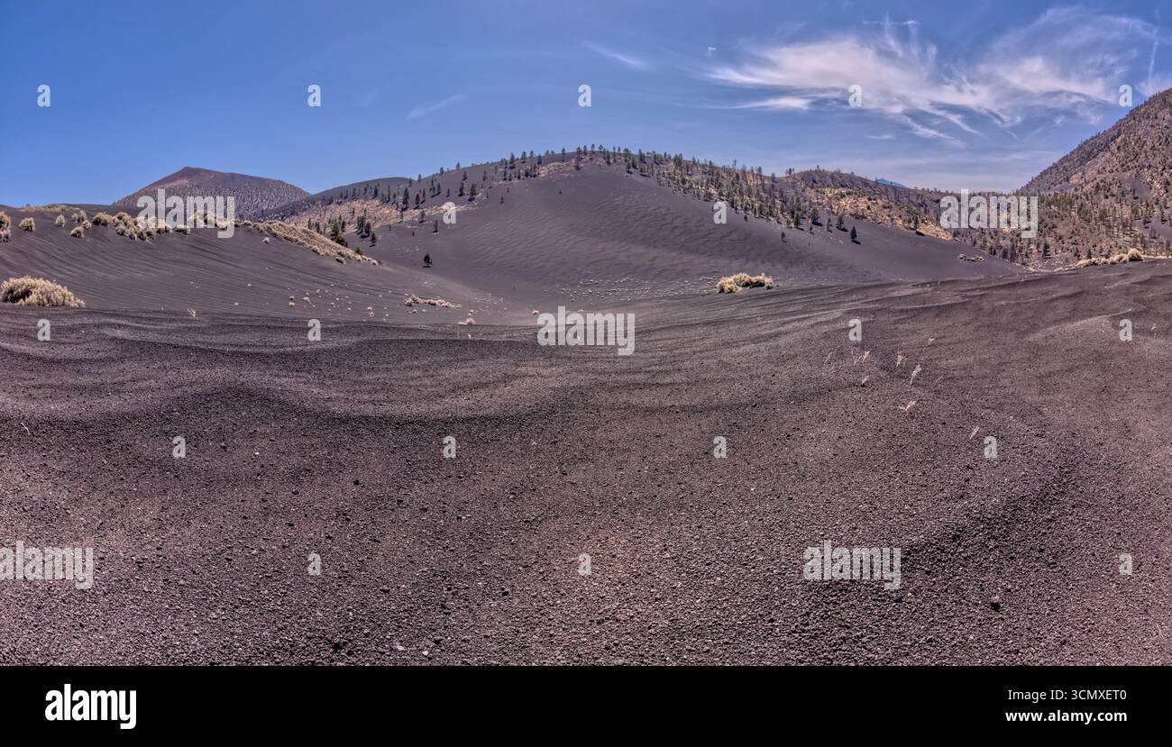 Volcanic cinder hills in Coconino National Forest, Arizona, USA Stock ...