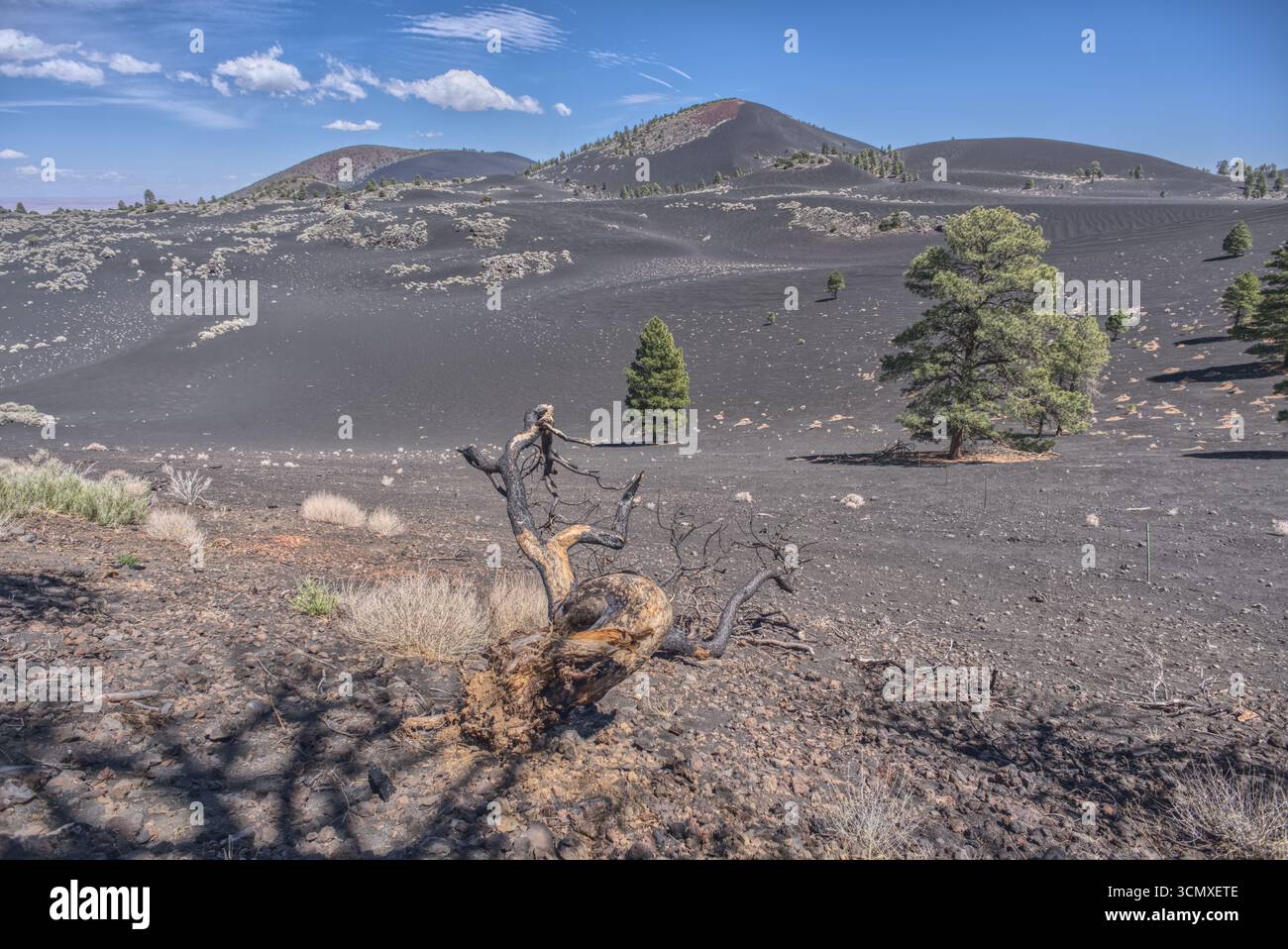 Volcanic cinder hills in Coconino National Forest, Arizona, USA Stock ...