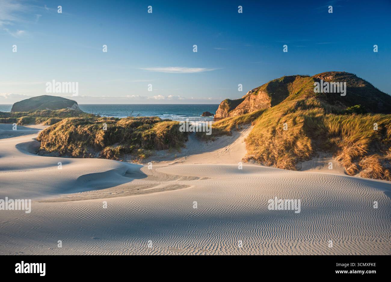 Curved Sand Dunes and Sea Stacks at Sunrise on Remote Wharariki Beach ...