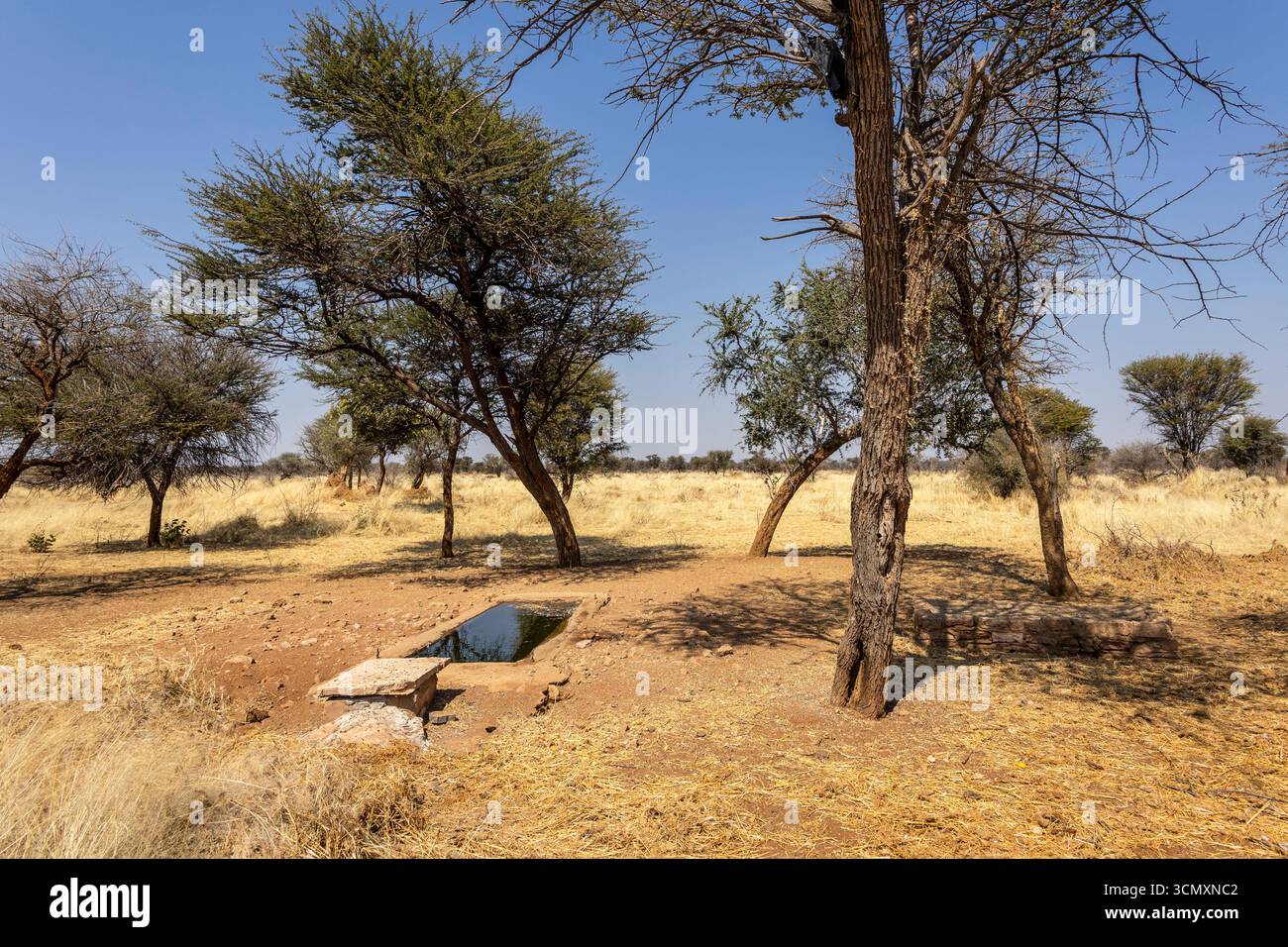 Outjo is a quiet Namibian town surrounded by savannas and hills, with ...