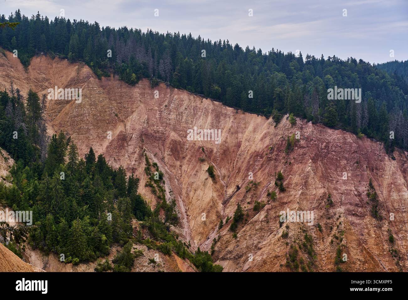 Steep eroded cliffs of Groapa Ruginoasa with patches of conifer forest ...