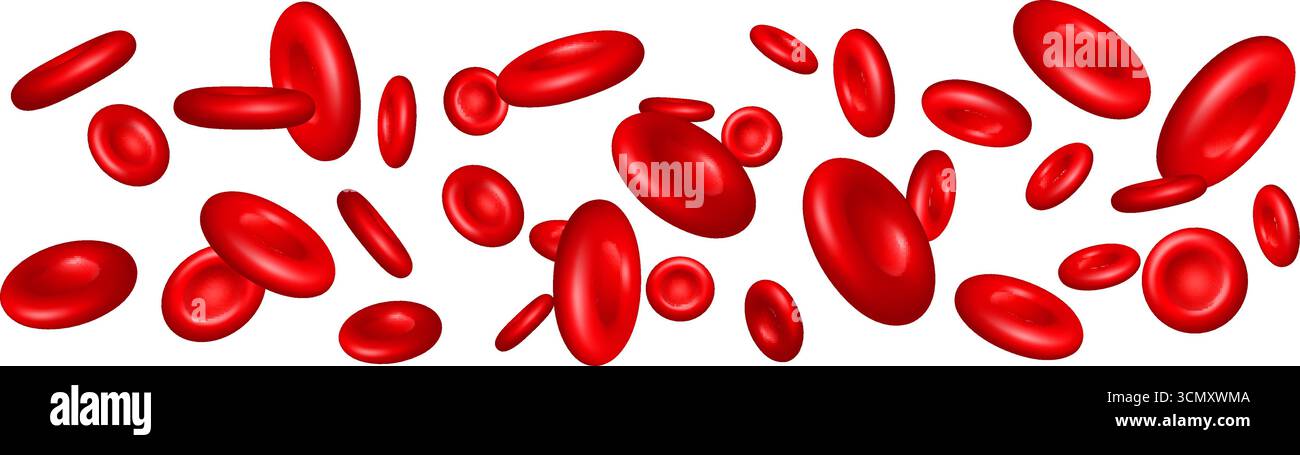 Realistic red blood cells flow through vein. 3D erythrocyte molecules ...