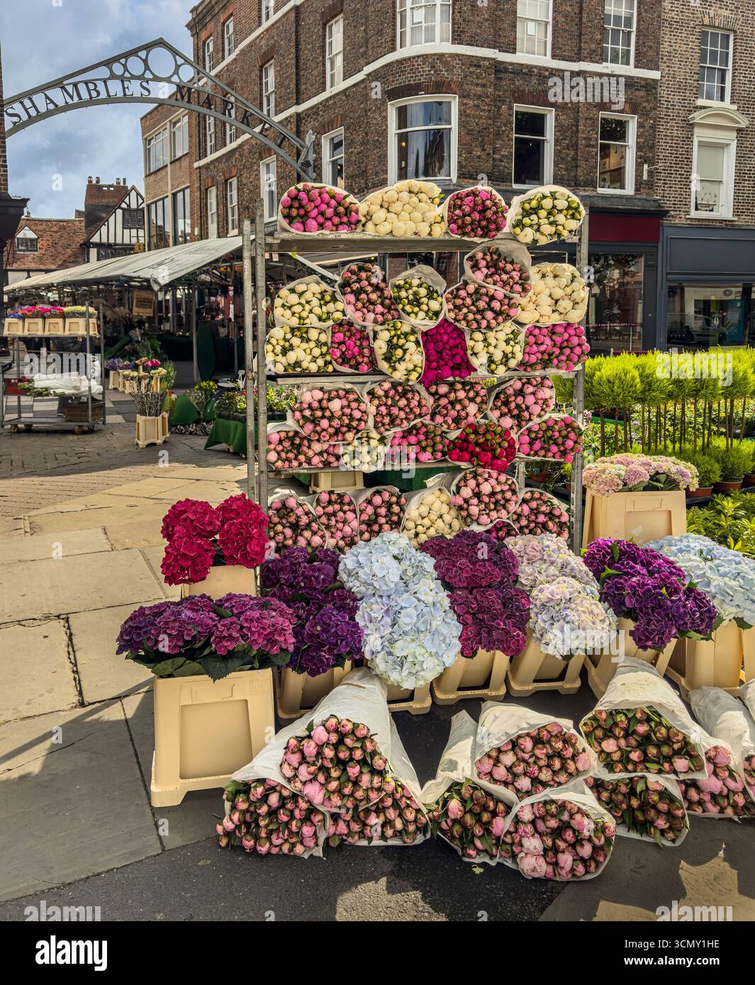 Flower stall at Shambles Market in York, Yorkshire, with colourful ...