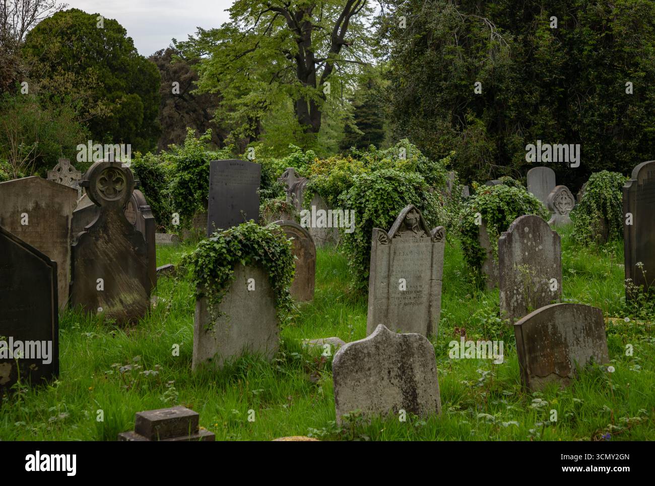 A picture of the Brompton Cemetery, in the Royal Borough of Kensington ...