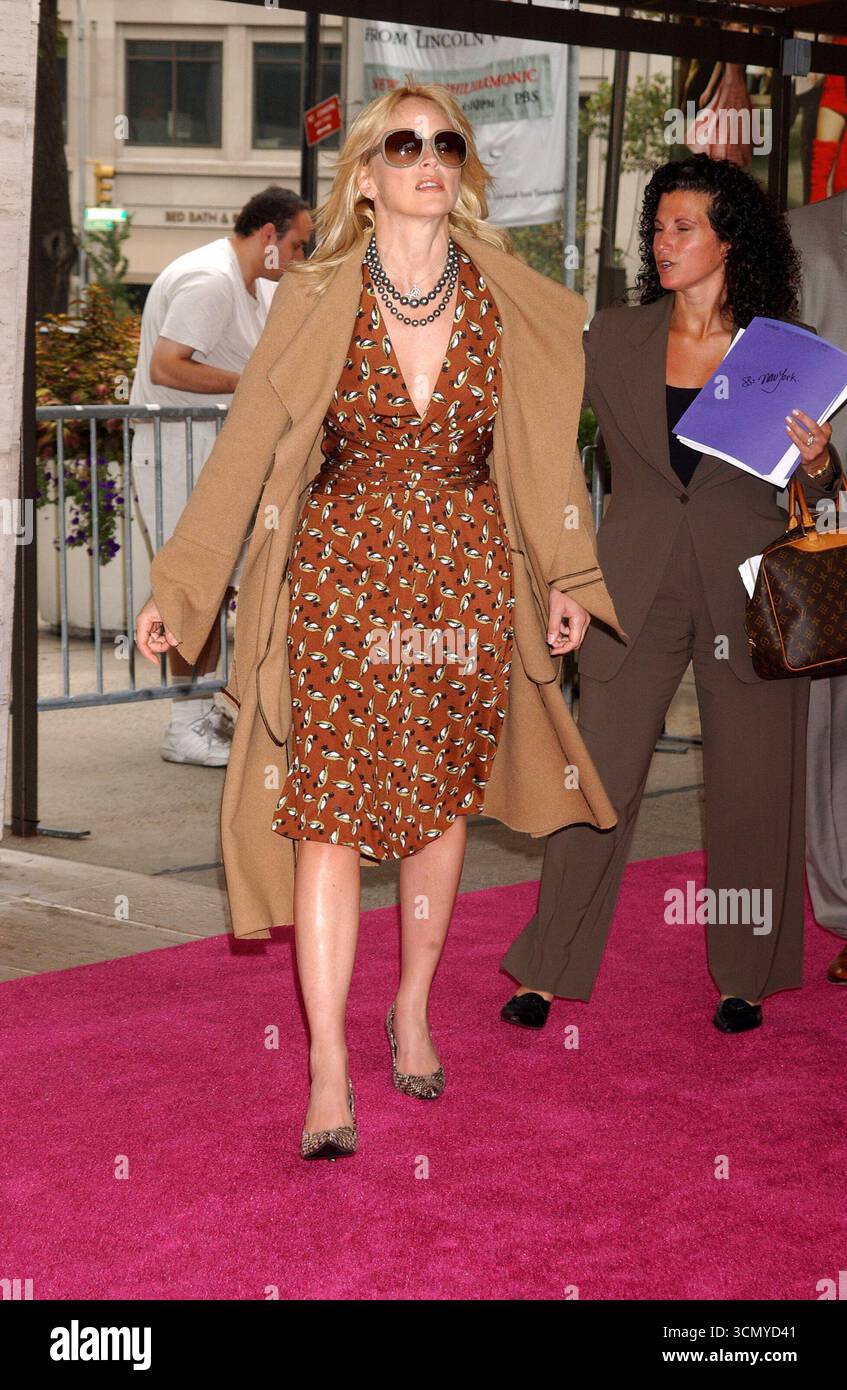 Sharon Stone attends the 2005 Mothers and Shakers Redbook event held at ...