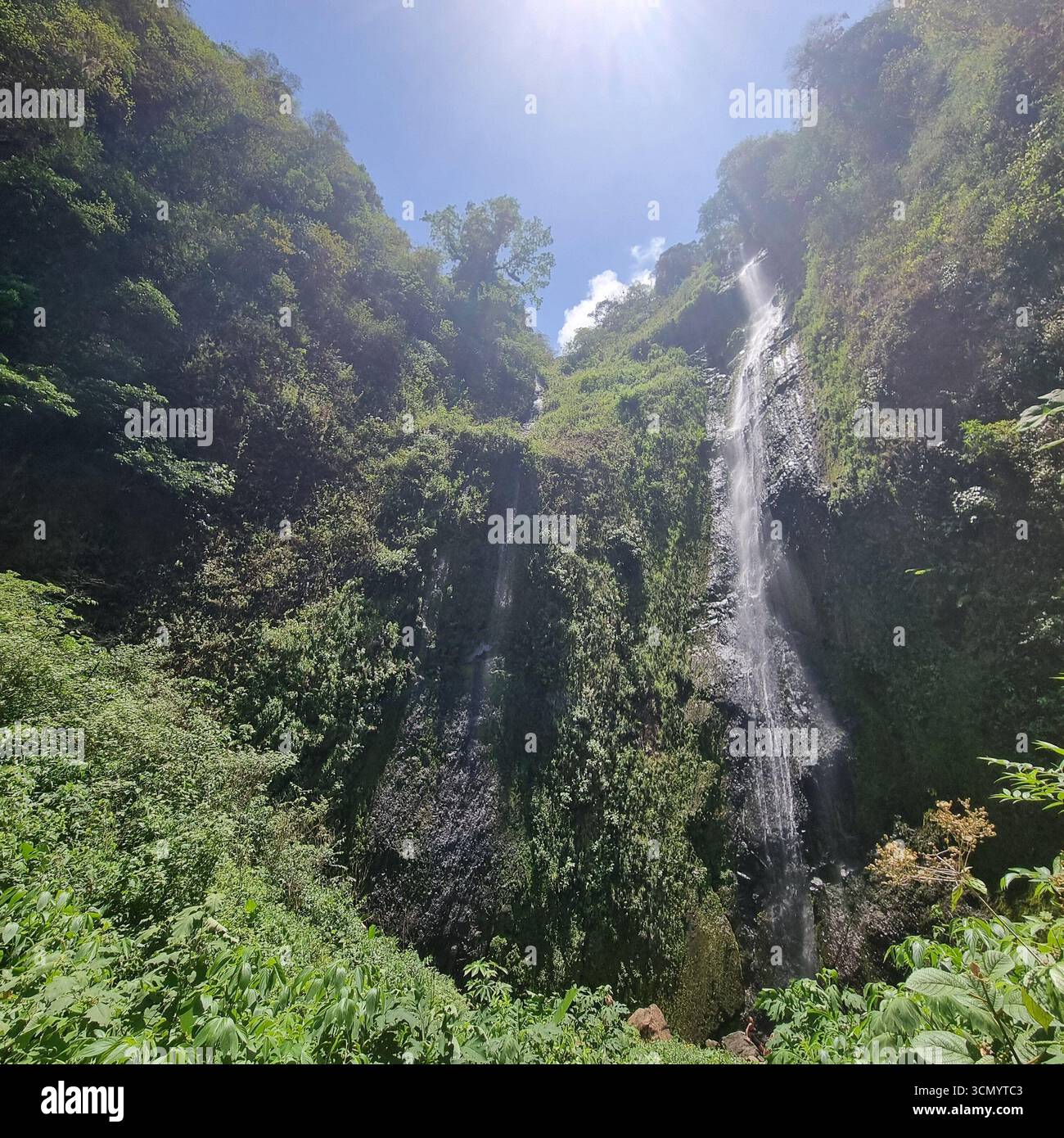 Cascada de america central hi-res stock photography and images - Alamy