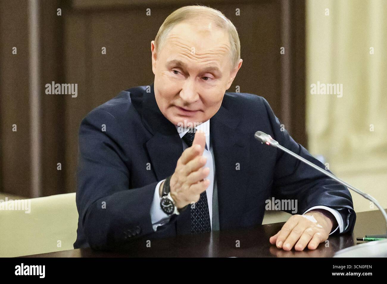 Russian President Vladimir Putin gestures while speaking at a meeting ...