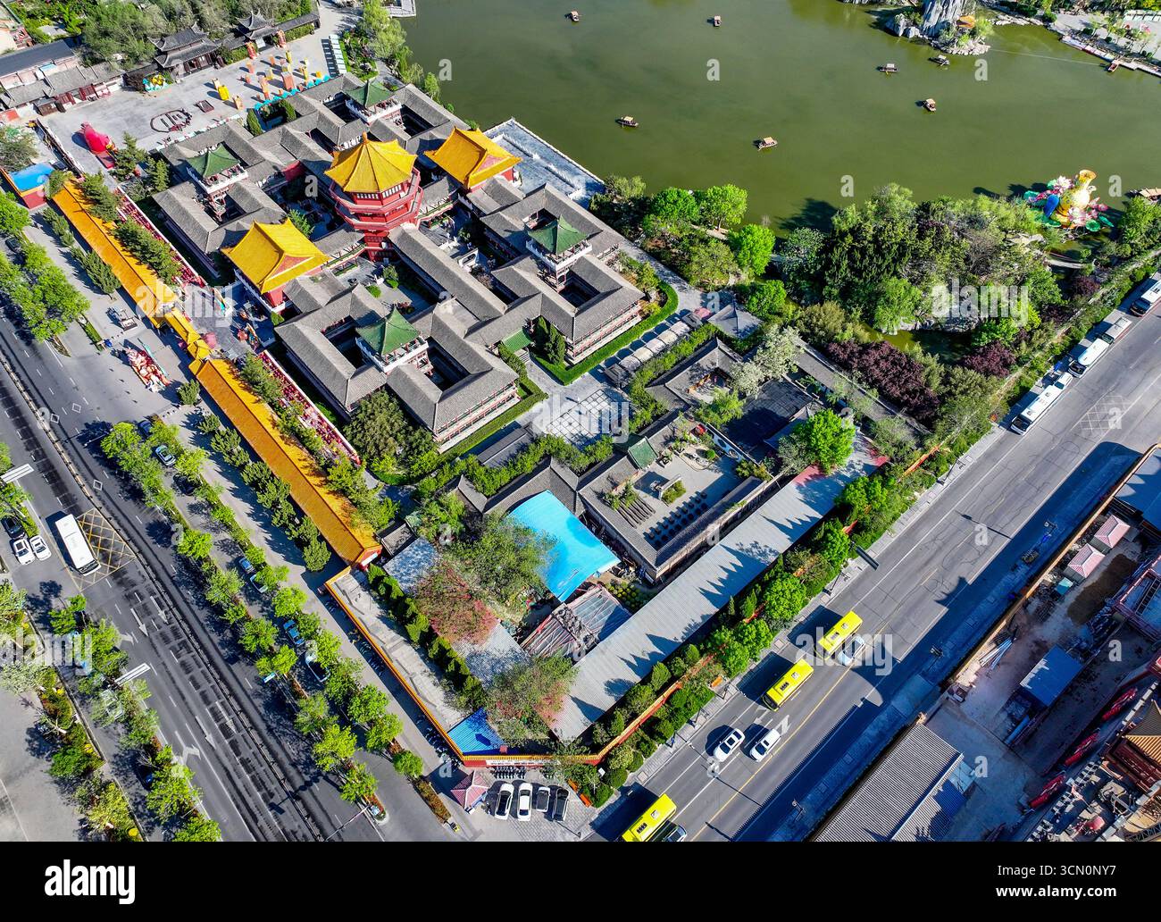 Forest calligraphy hi-res stock photography and images - Alamy