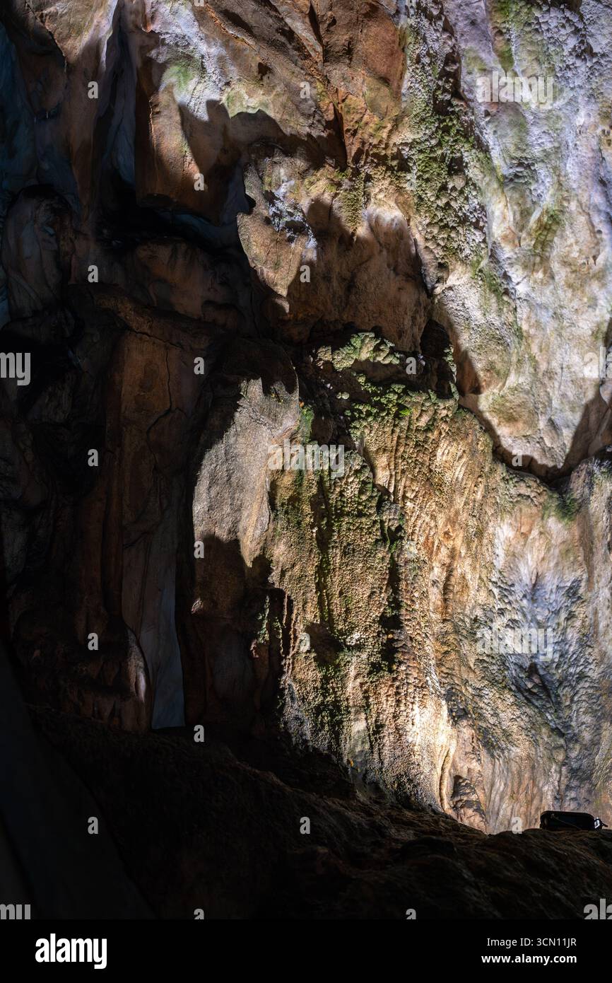 Limestone cave wall with mineral deposits and patches of moss and algae ...
