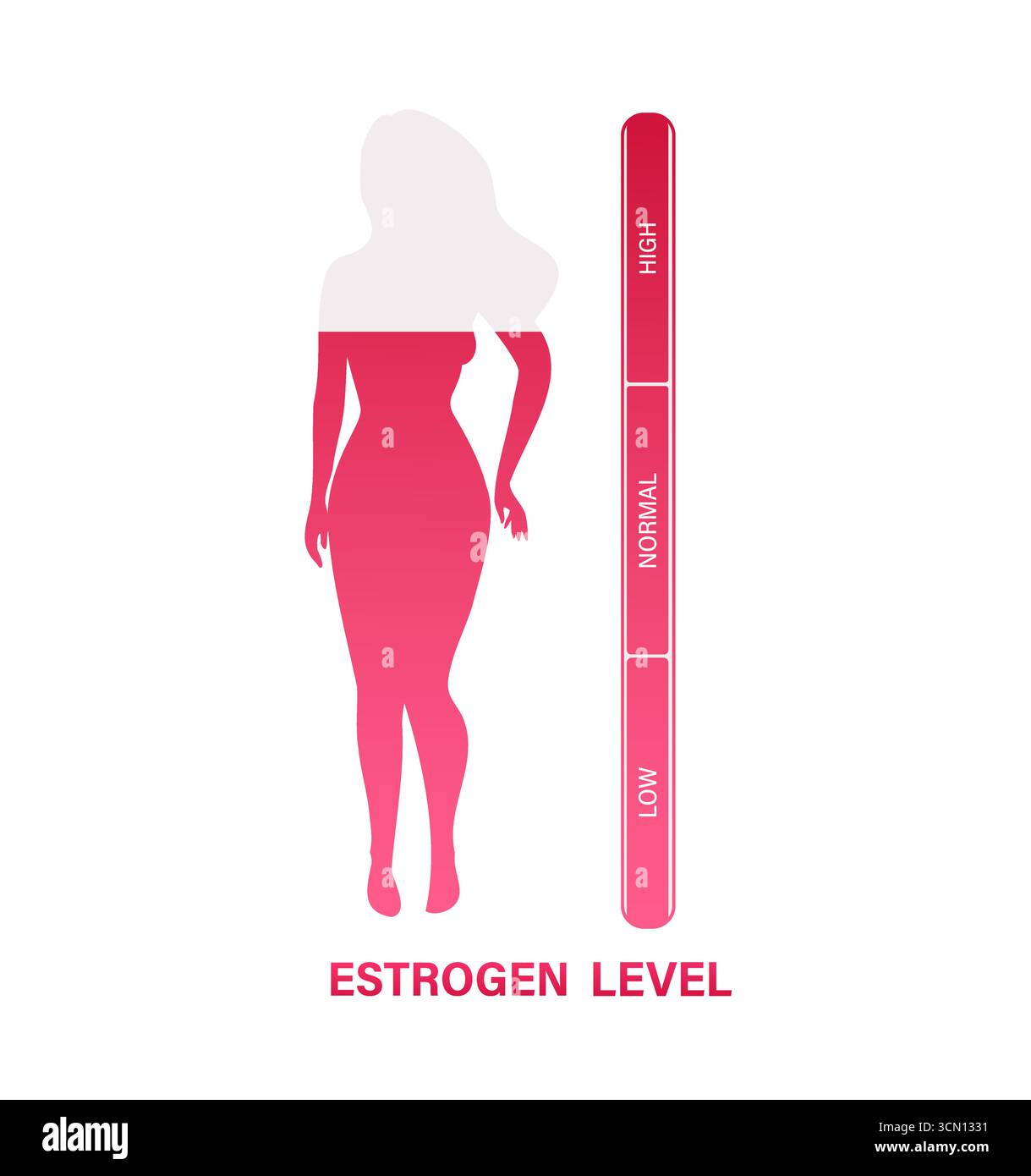 Woman silhouette estrogen level hi-res stock photography and images - Alamy