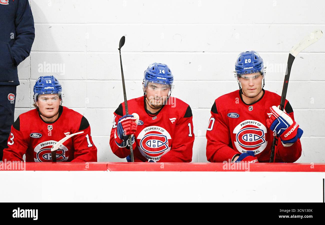 Montreal Canadiens' Cole Caufield (13), Nick Suzuki (14) and Juraj ...