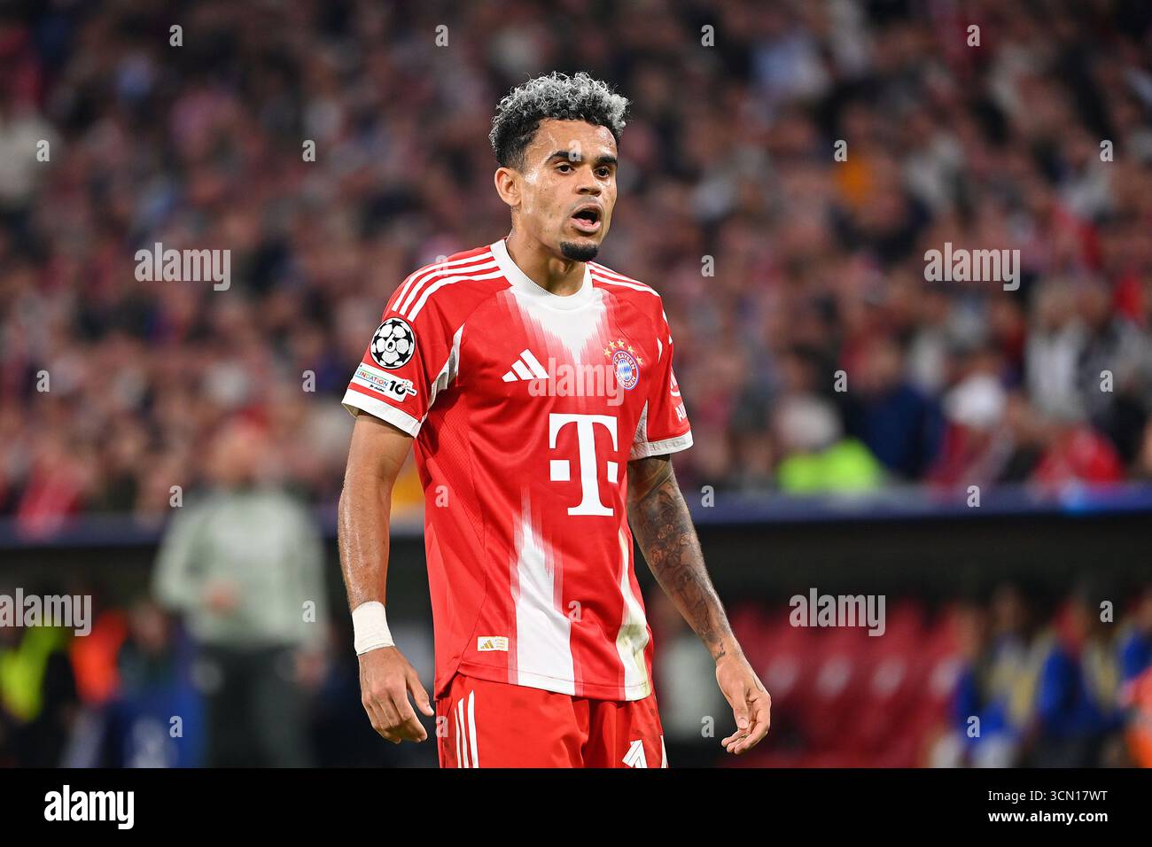 Luis DIAZ (FC Bayern Munich), action, single image, cropped single ...
