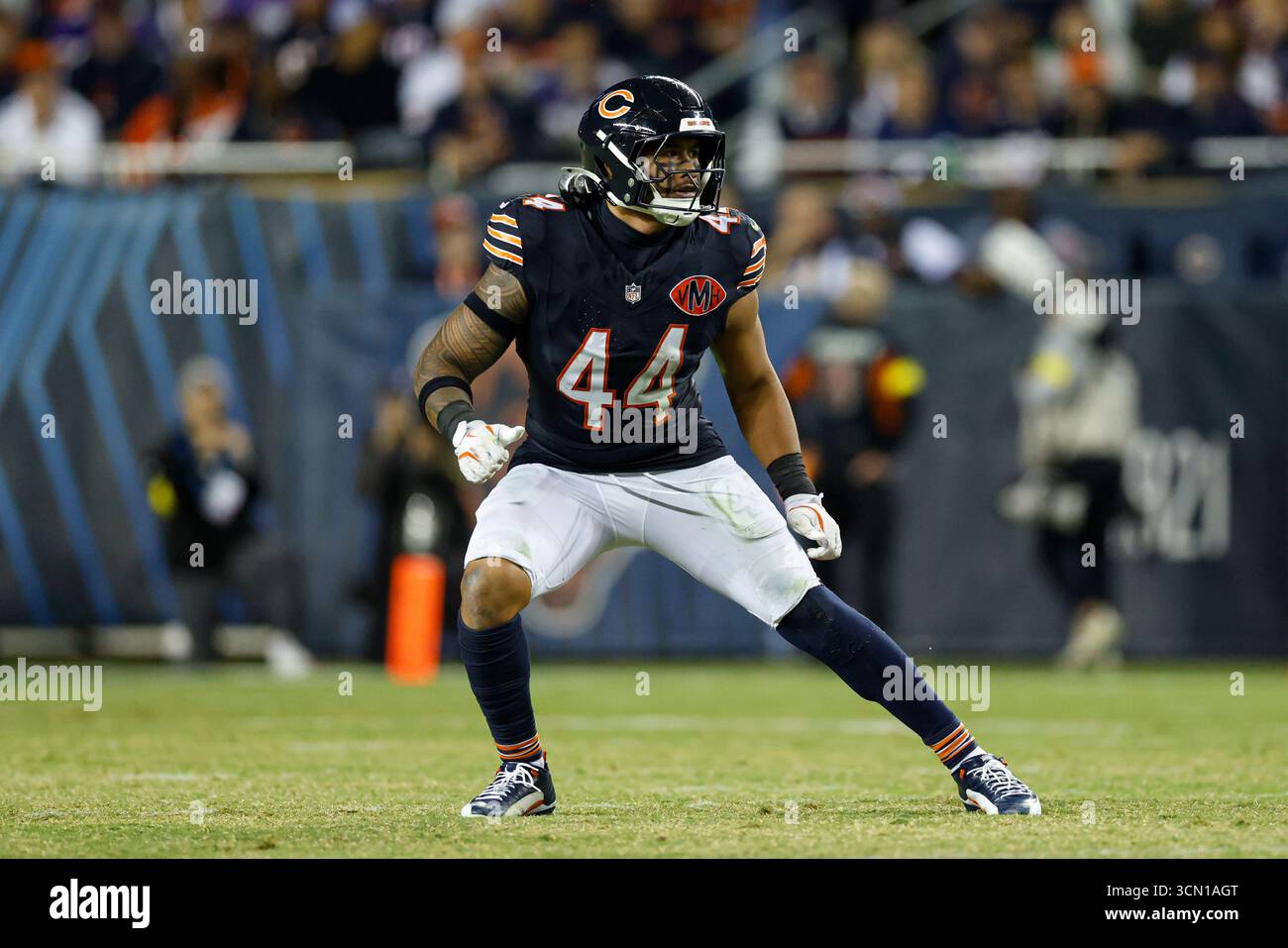 Chicago Bears linebacker Noah Sewell (44) looks on during the second ...
