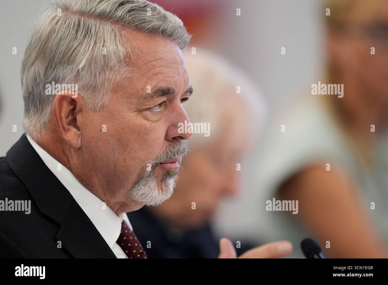 Committee member, Dr. Joseph Hibbeln, speaks during a meeting of the ...