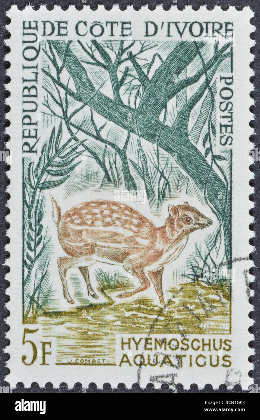 Postage stamp printed by Ivory coast that shows Water Chevrotain ...