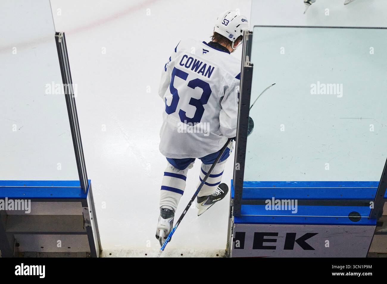 Toronto Maple Leafs forward Easton Cowan (53) steps out onto the ice ...
