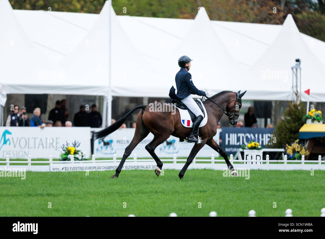 Luc Chateau of France with Cocorico De L'ebat during the dressage at ...