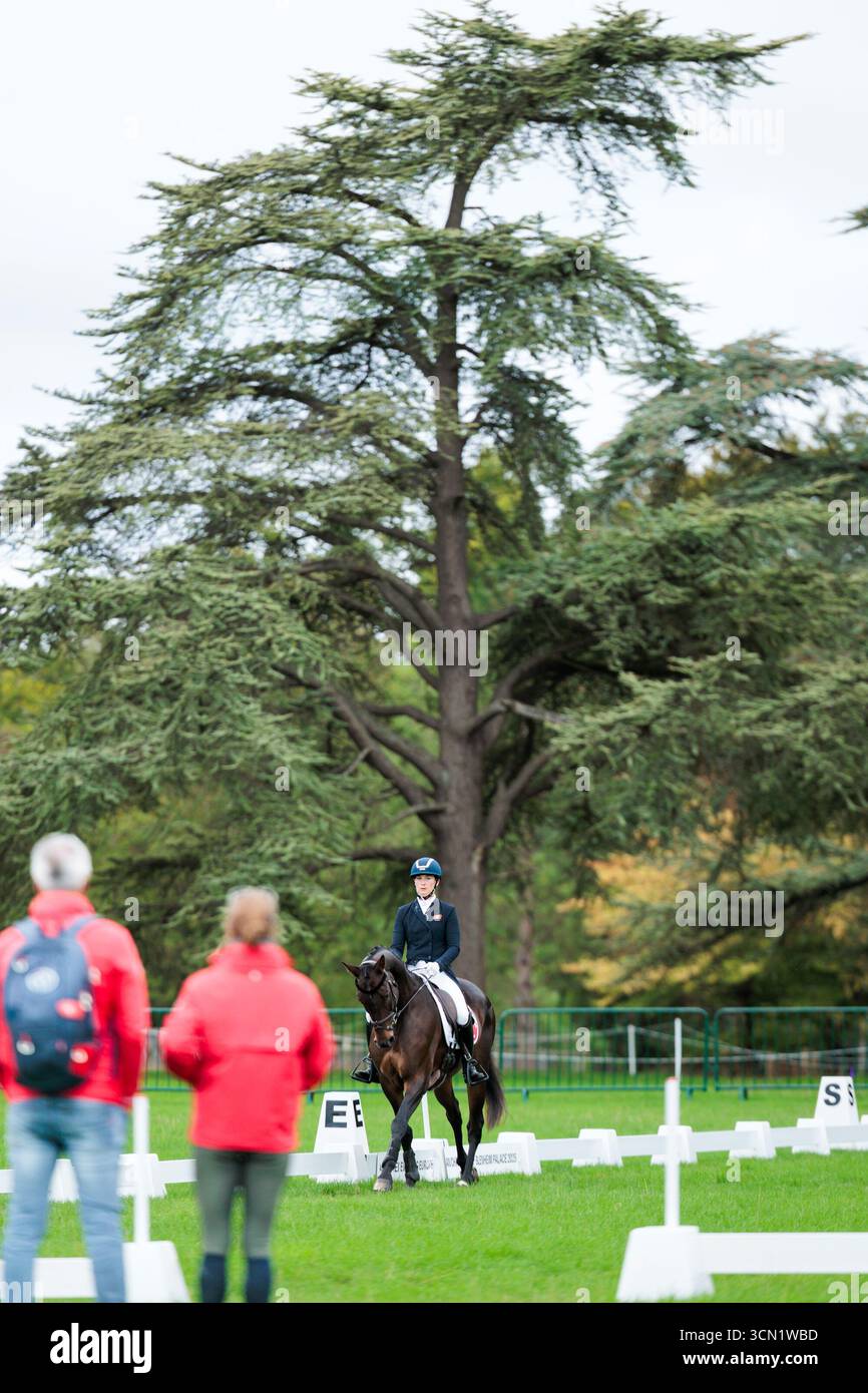 Nadja Minder of Switzerland with Toblerone during the dressage at the ...