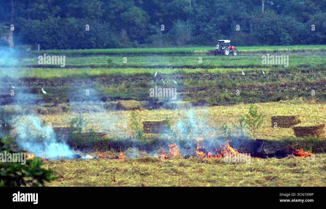 RECORD DATE NOT STATED AMRITSAR, INDIA - SEPTEMBER 18: Smoke rises from ...