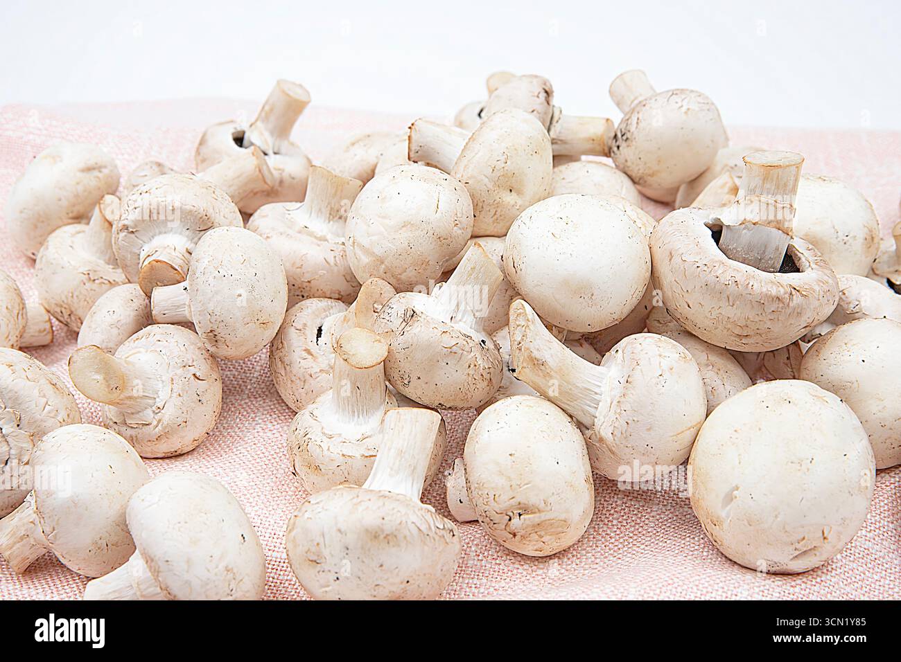 Rawchampignon hi-res stock photography and images - Alamy