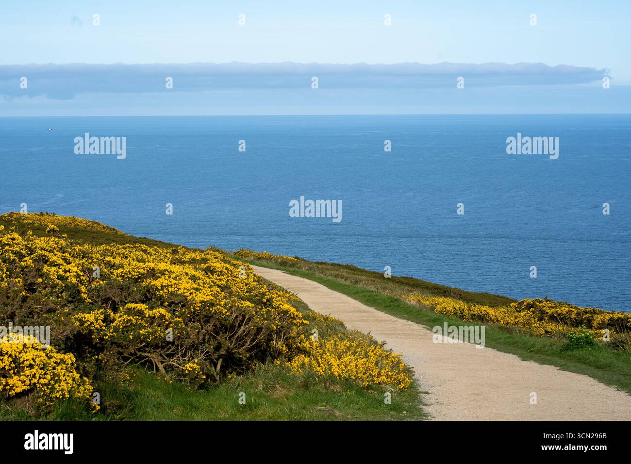 Ireland, known as the Emerald Isle, is famous for its lush green ...