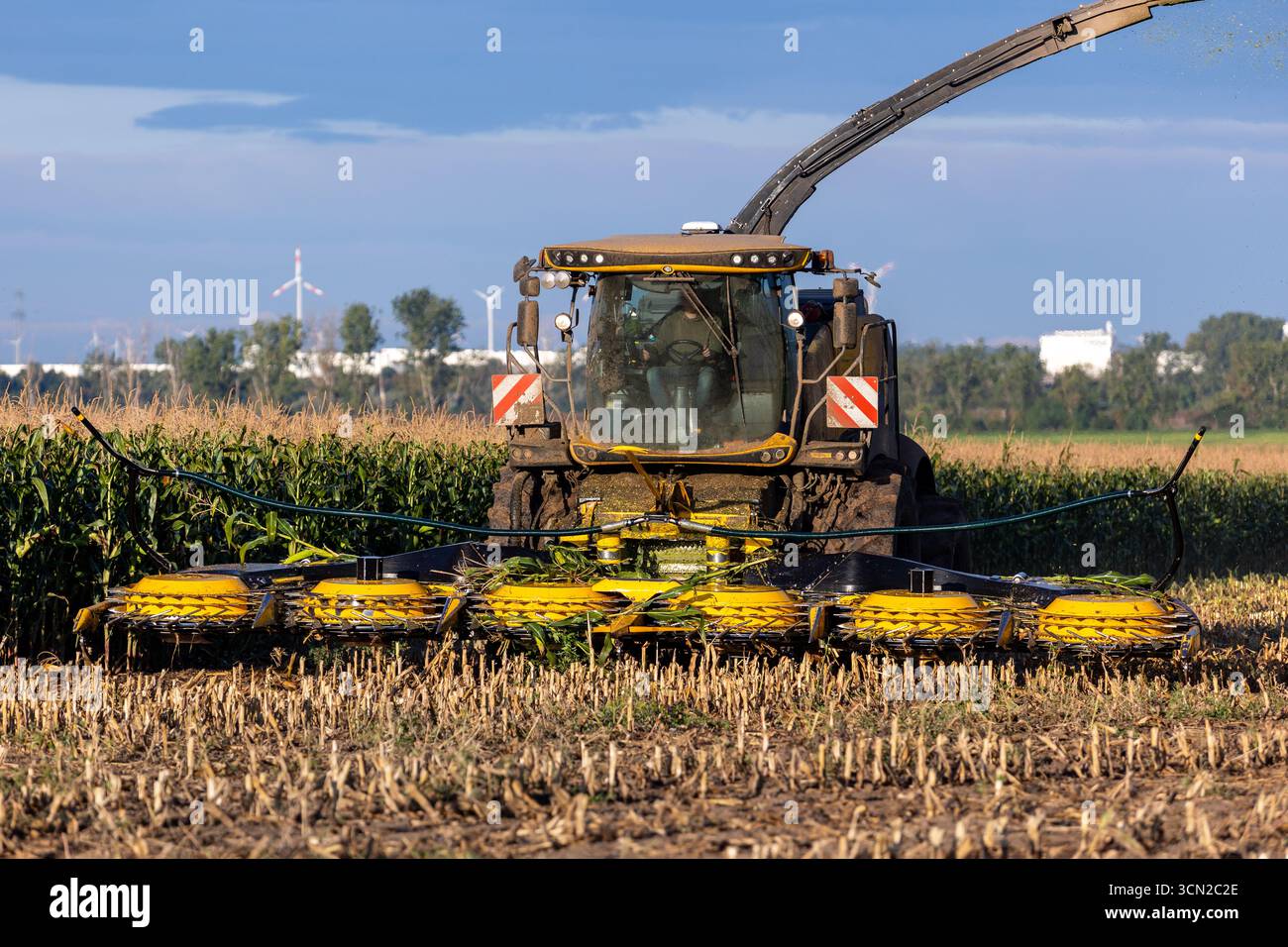 Modern forage harvester combiner harvesting silage maize corn tractor ...