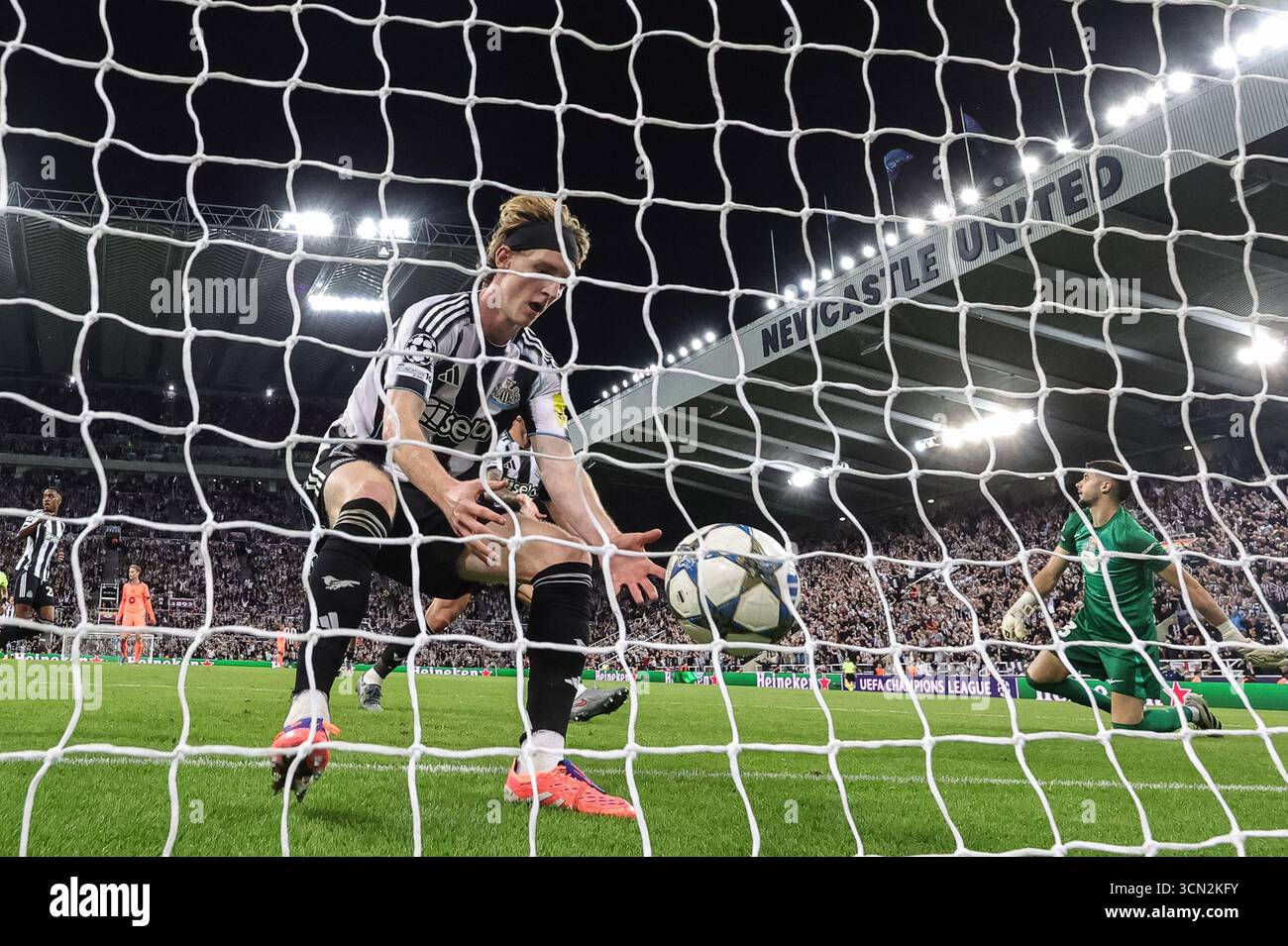 Anthony gordon newcastle september 2025 hi-res stock photography and ...