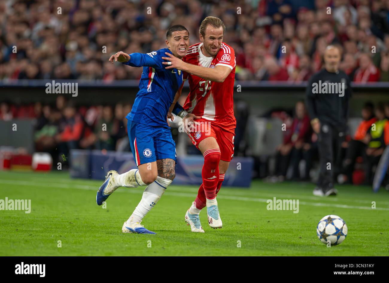 Enzo fernandez of chelsea fc hi-res stock photography and images - Alamy