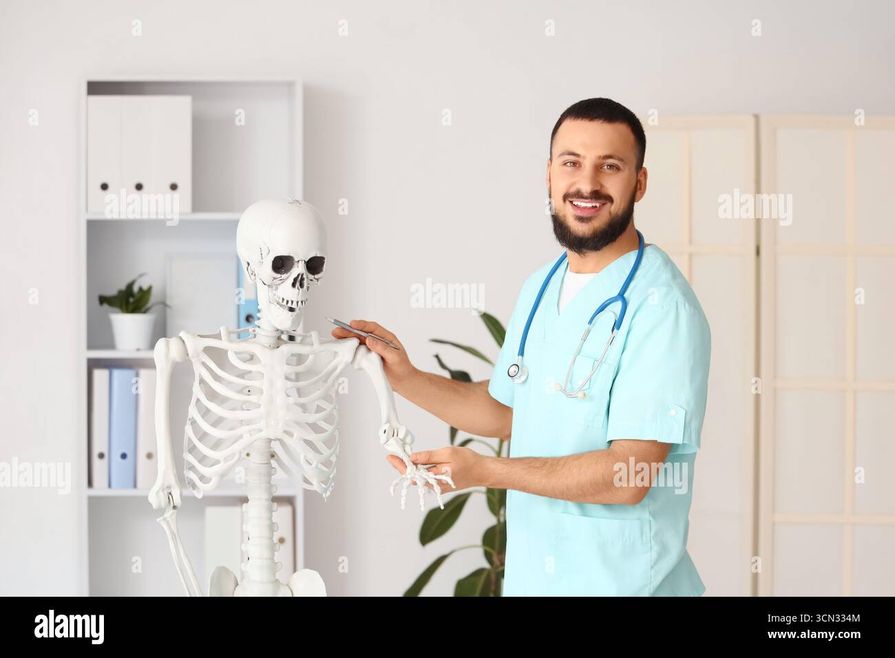 Male doctor examining arm bone of human skeleton in clinic Stock Photo ...