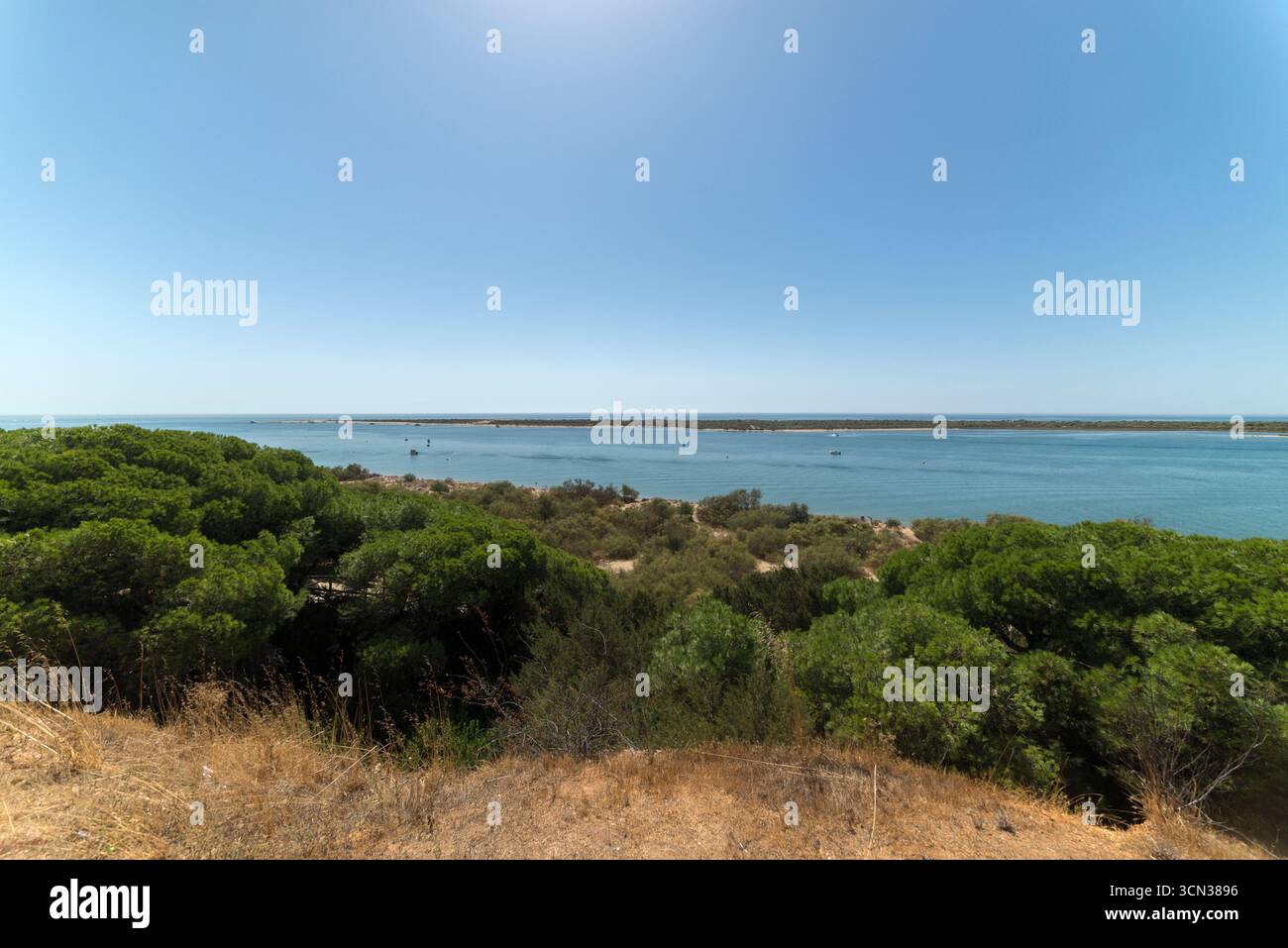 Ecosistema litora hi-res stock photography and images - Alamy