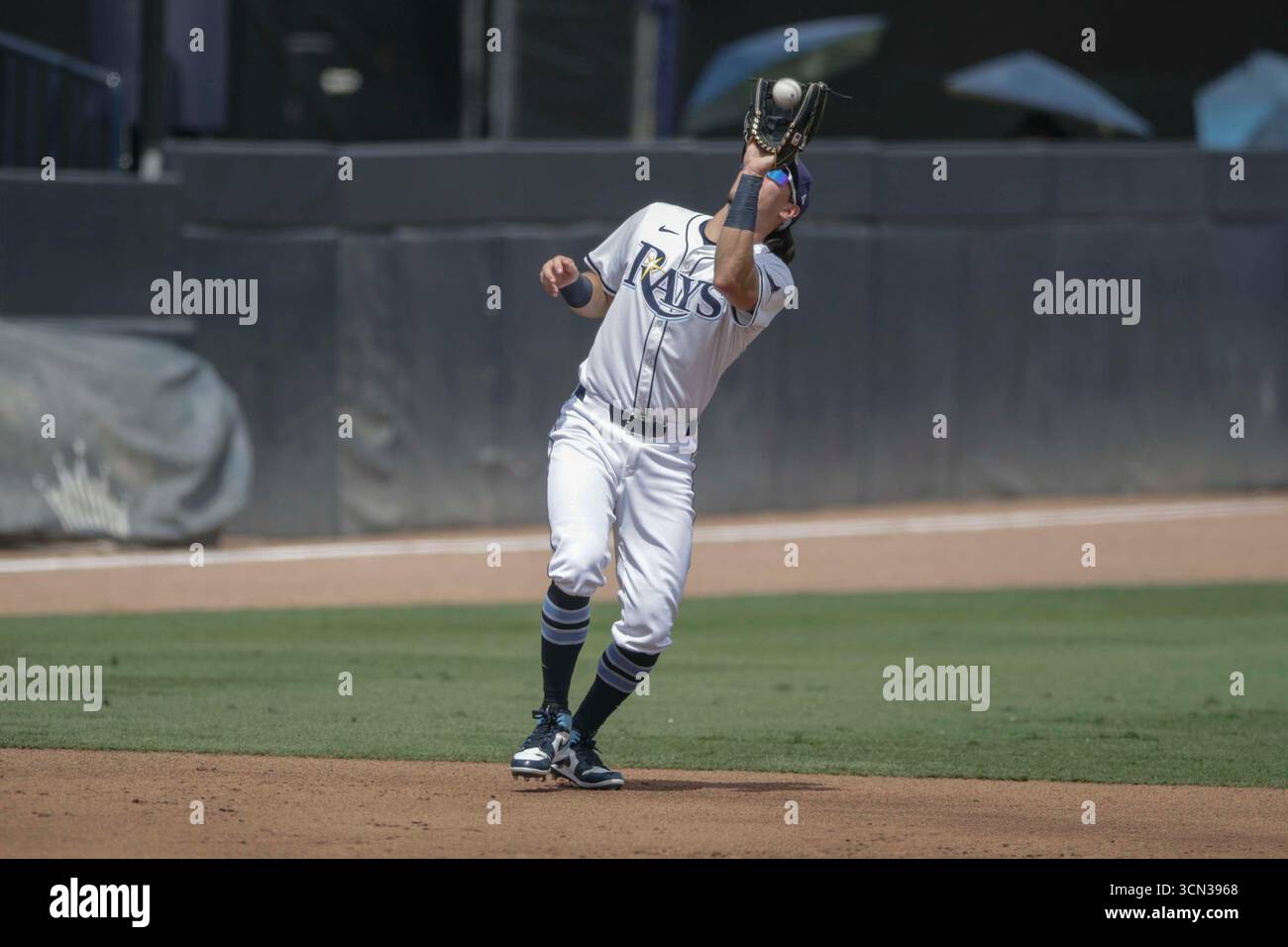 Tampa, FL USA: Tampa Bay Rays third base Tristan Gray (10) catches a ...