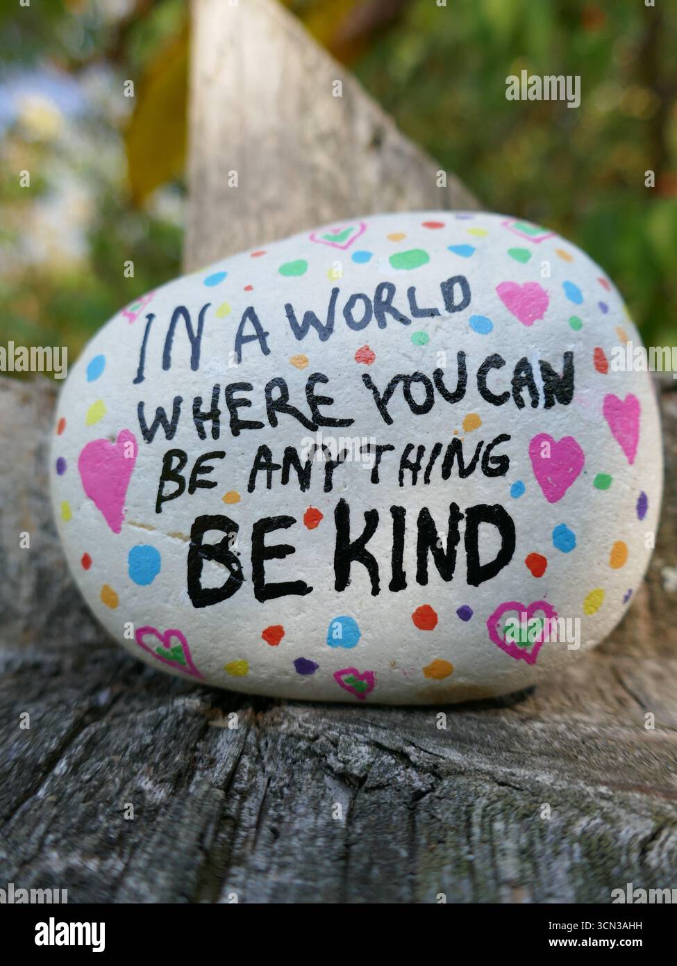 In a world where you can be anything be kind painted rock on old wooden ...
