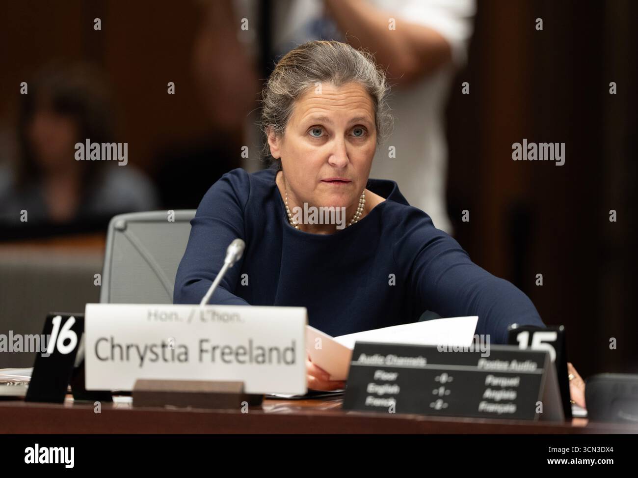 Minister of Transport and Internal Trade Chrystia Freeland prepares to ...