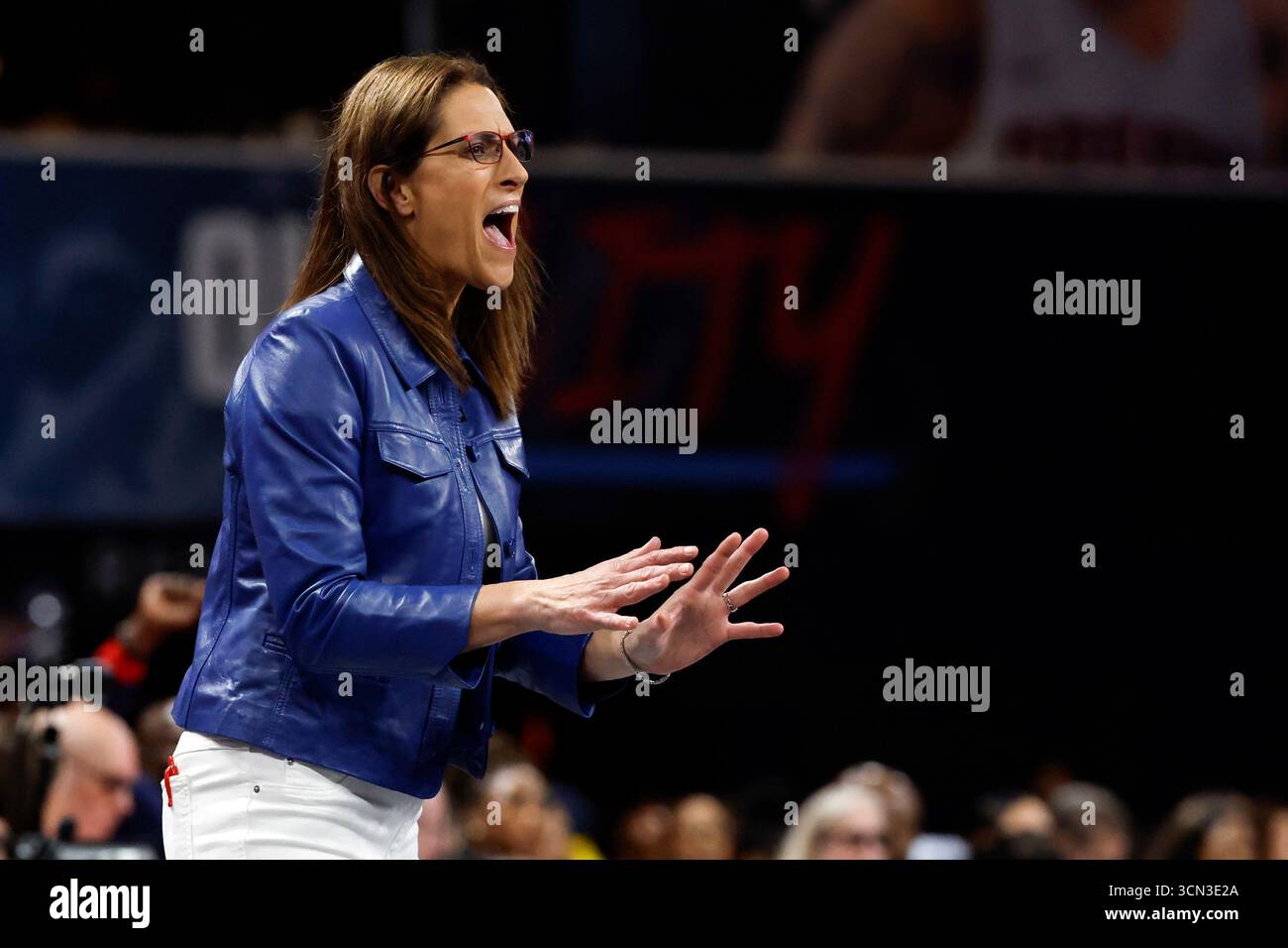 Indiana Fever coach Stephanie White reacts to a call during the first ...
