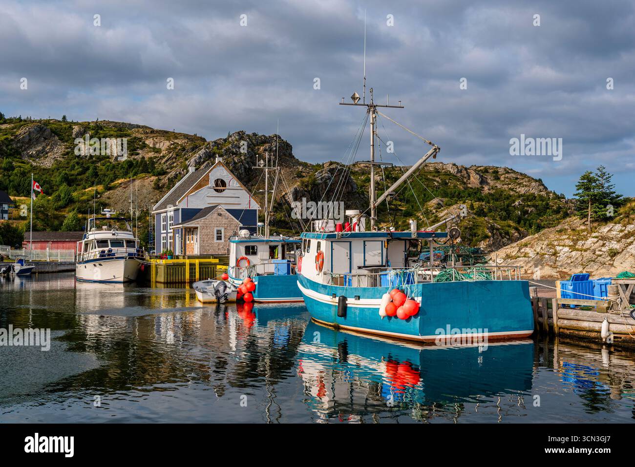 Fishing boats in the harbour of Brigus, Newfoundland Stock Photo - Alamy