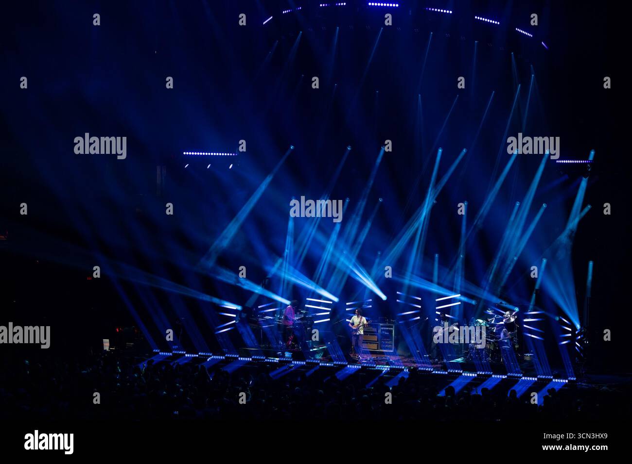 Peter Anspach, Rick Mitarotonda, Trevor Weeks and Cotter Ellis of Goose ...