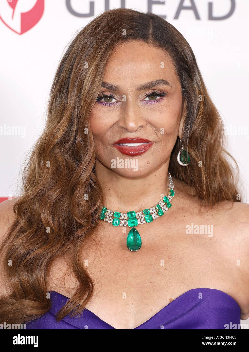 Tina Knowles arrives at The Elizabeth Taylor Night of Compassion held ...