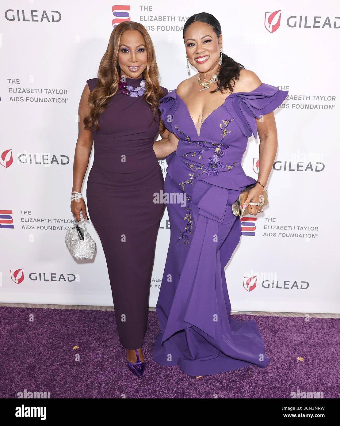 Holly Robinson Peete, Lela Rochon arrives at The Elizabeth Taylor Night ...