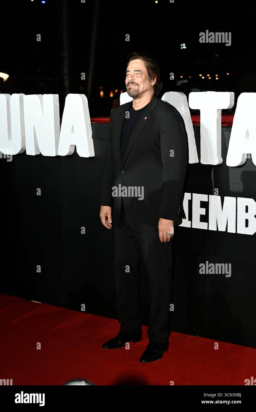 Actor Benicio del Toro attends the red carpet for ‘One Battle After ...