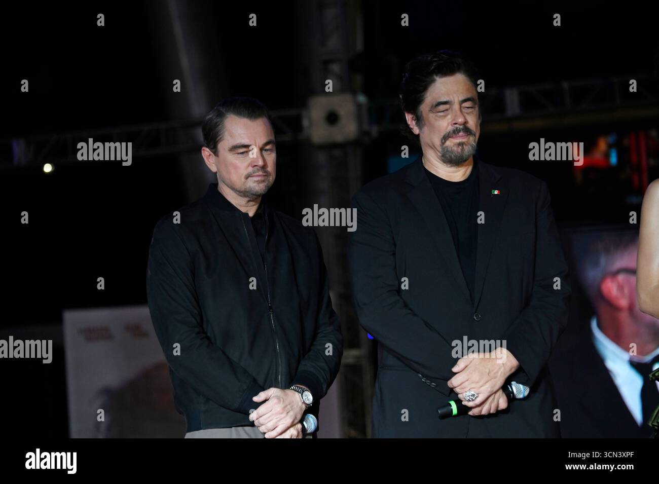 Actors (L-R) Leonardo DiCaprio and Benicio del Toro attend the red ...