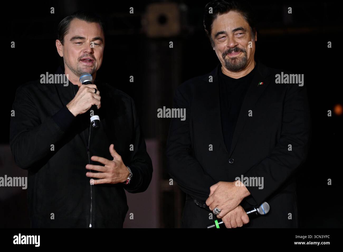 Actors (L-R) Leonardo DiCaprio and Benicio del Toro attend the red ...
