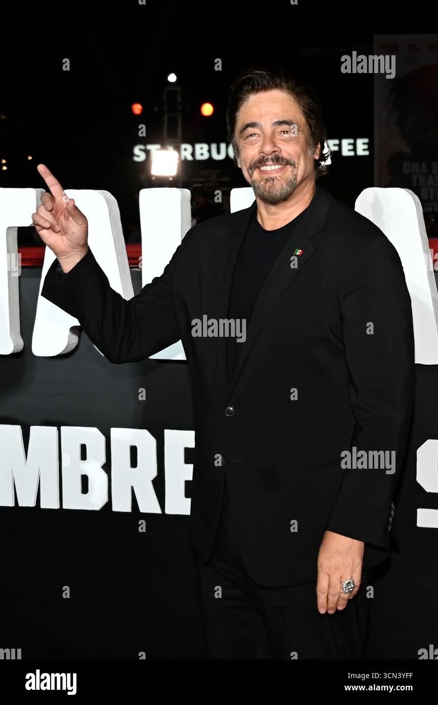 Actor Benicio del Toro attends the red carpet for ‘One Battle After ...