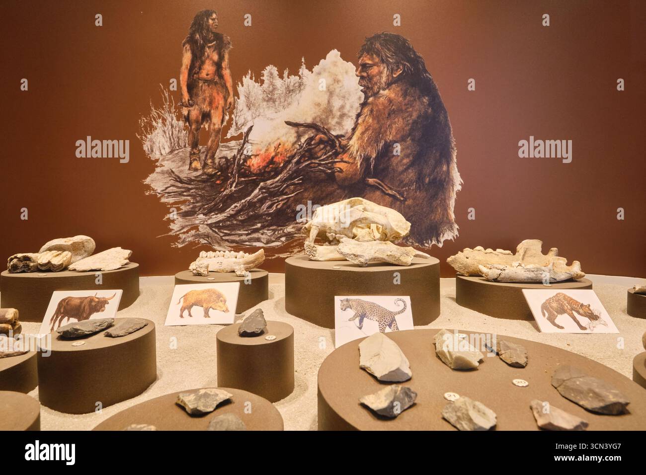 Various stone age, cave man era stone tools, arrowheads, other carved ...
