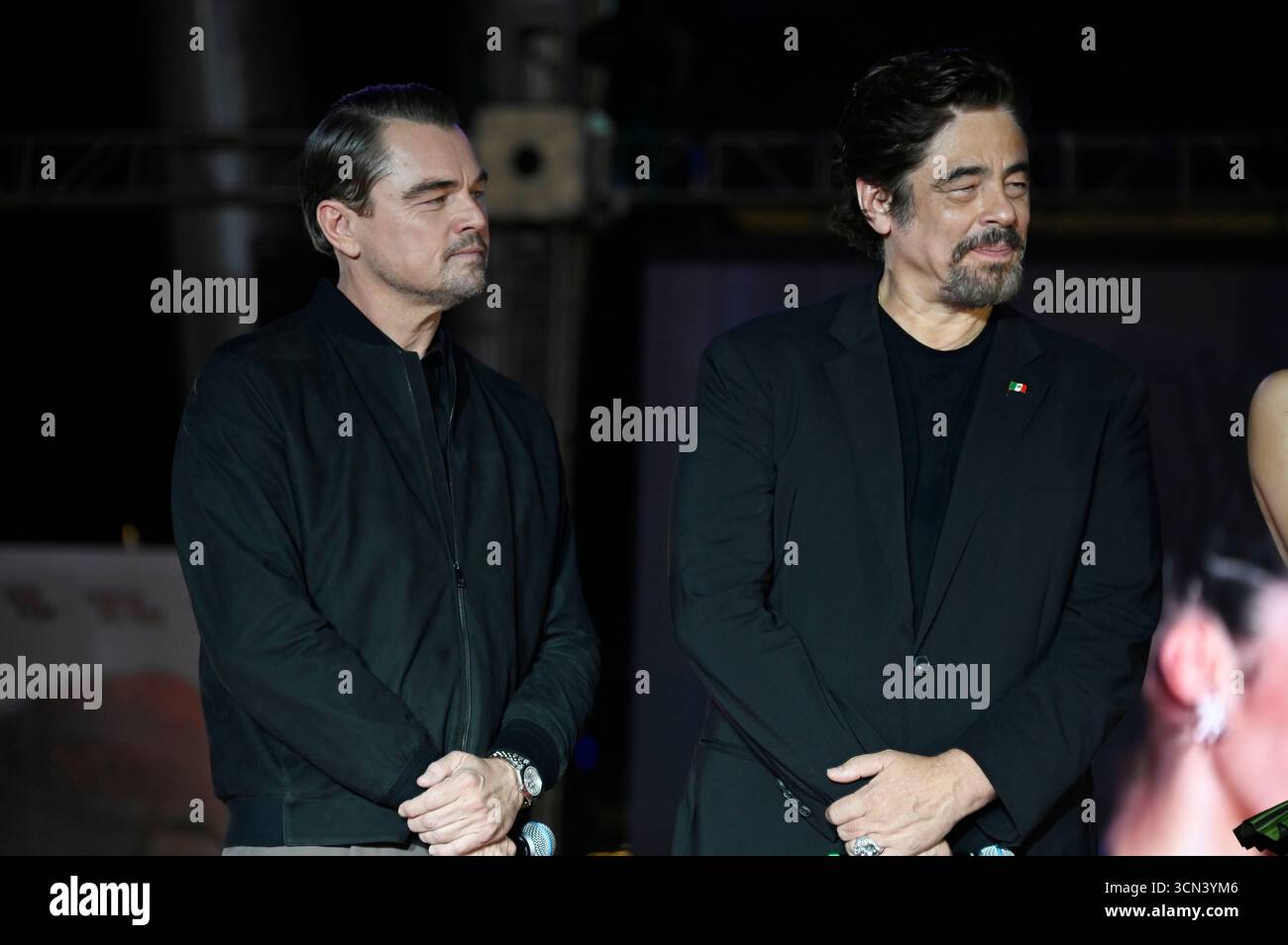 Actors (L-R) Leonardo DiCaprio and Benicio del Toro attend the red ...