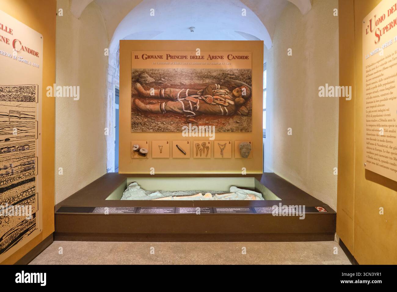Display of a burial of a 24,000 year old young hunter, honored like a ...