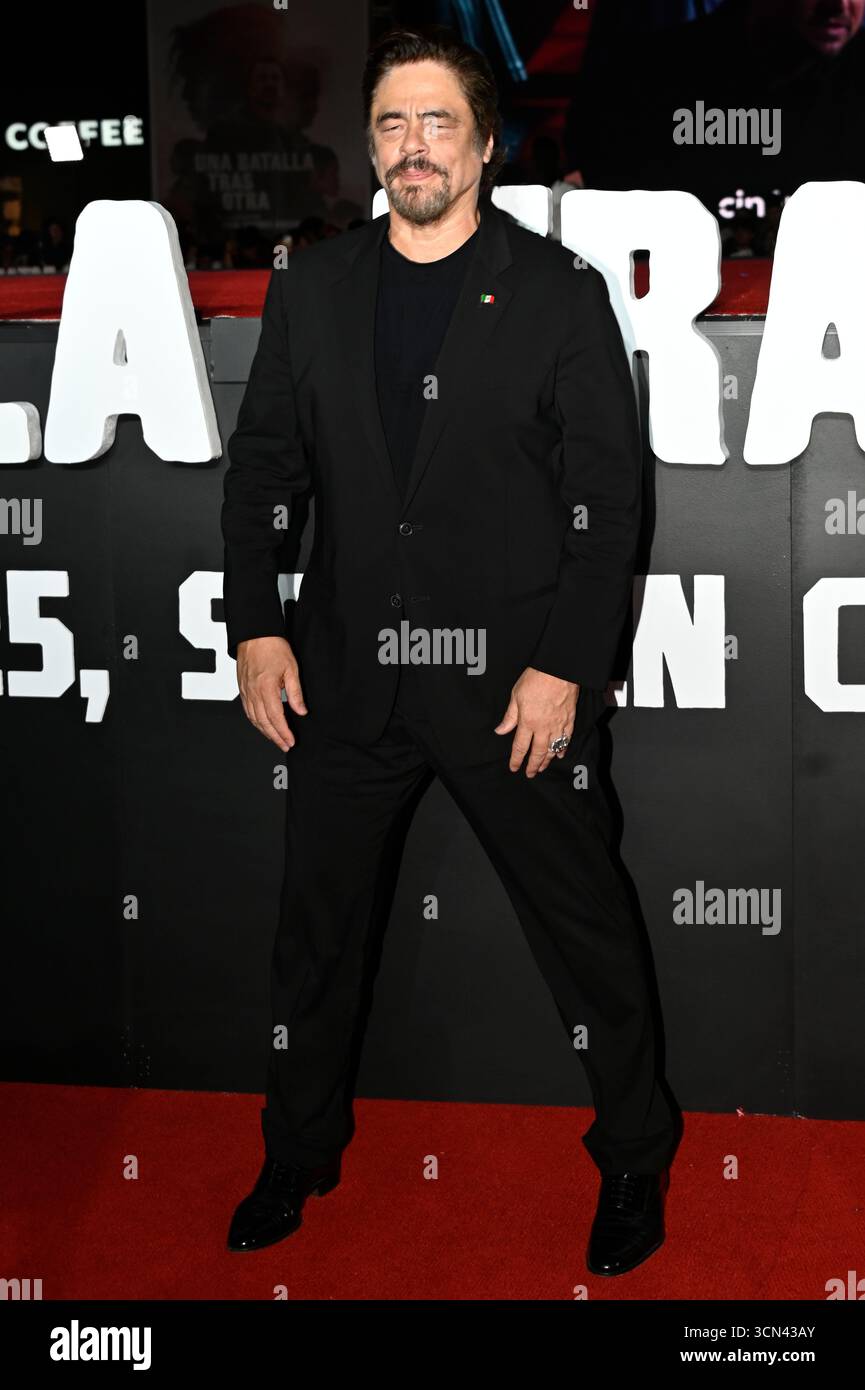 Actor Benicio del Toro attends the red carpet for the 'One Battle After ...