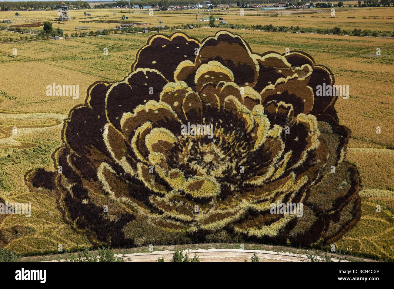 Tourists visit the Shenyang Tanbo Art Farm in Shenyang City, northeast ...