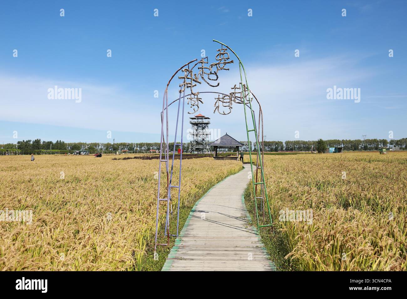 Tourists visit the Shenyang Tanbo Art Farm in Shenyang City, northeast ...