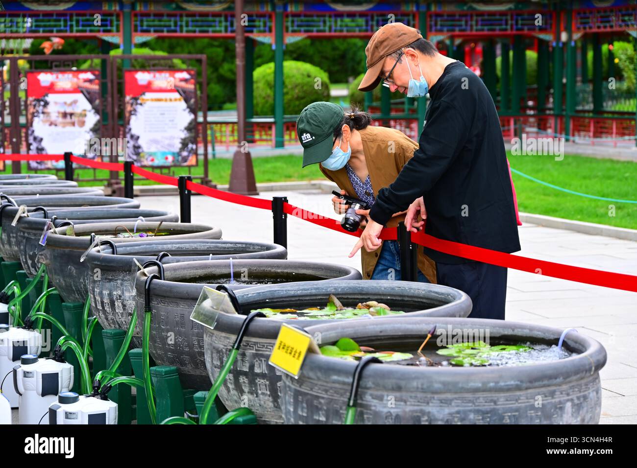 A goldfish culture exhibition is held in Zhongshan Park in Beijing ...
