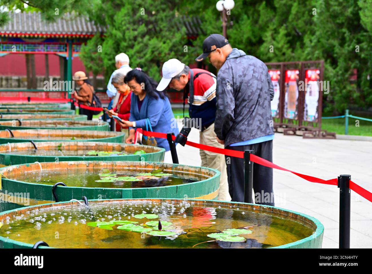 A goldfish culture exhibition is held in Zhongshan Park in Beijing ...